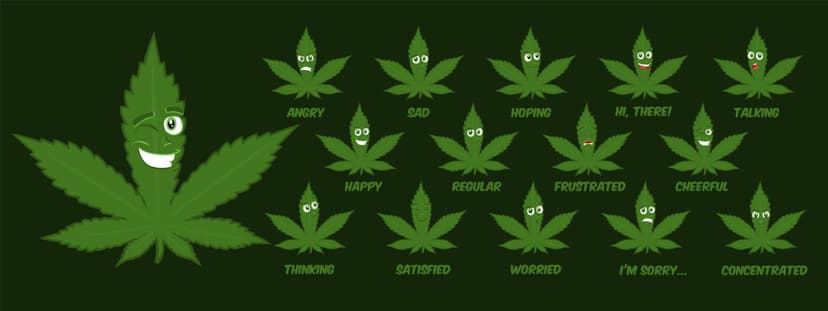 Marijuana: Street Names, Slang, Nicknames + Emoji | Zinnia Health