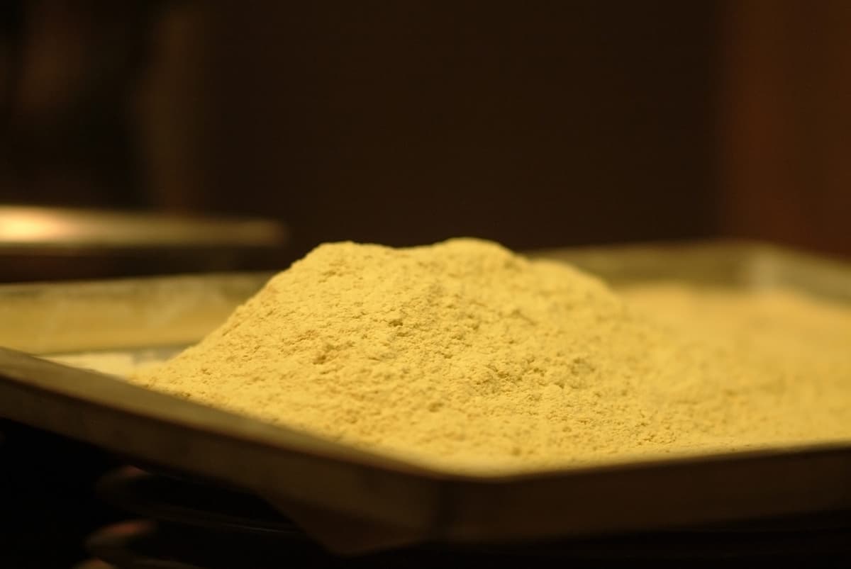 Freebasing Cocaine: Why and How People Do This | Zinnia Health